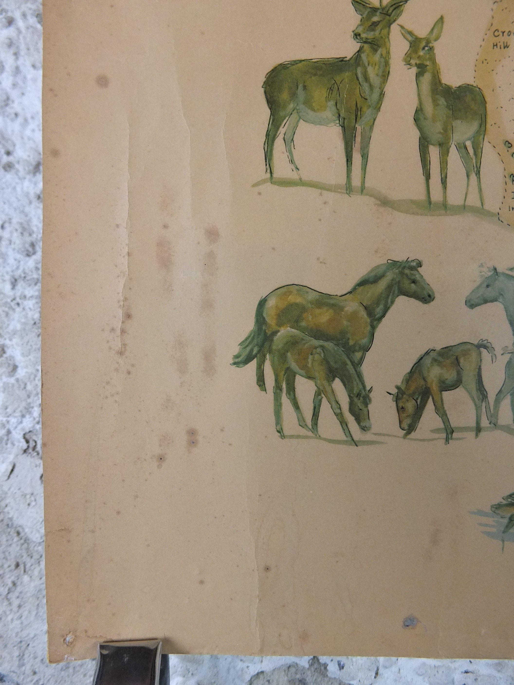 1900s New Forest Map Poster by C.M. Moore Birds Animals | Etsy