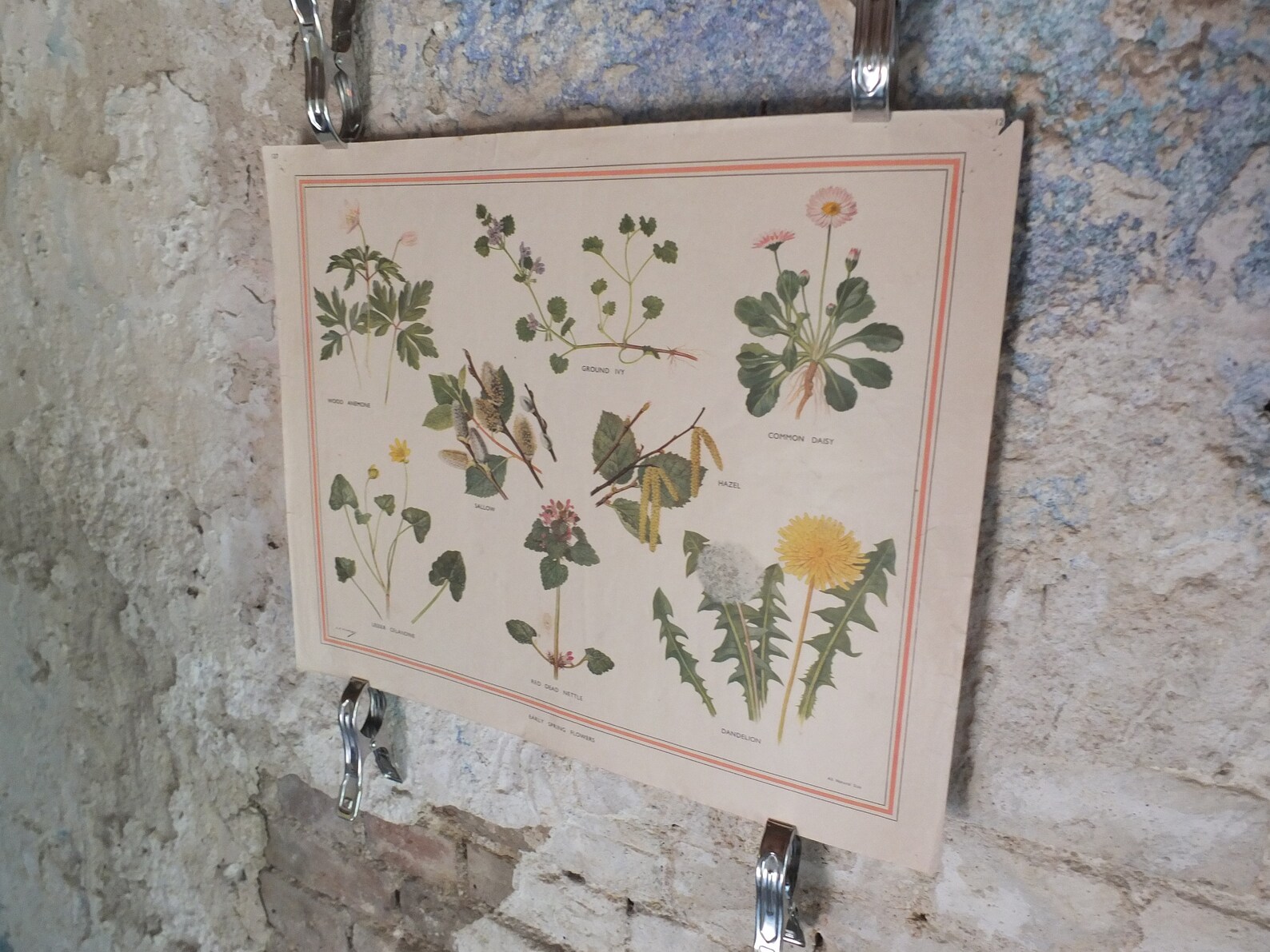 Original Vintage British Macmillan Educational Poster Early - Etsy