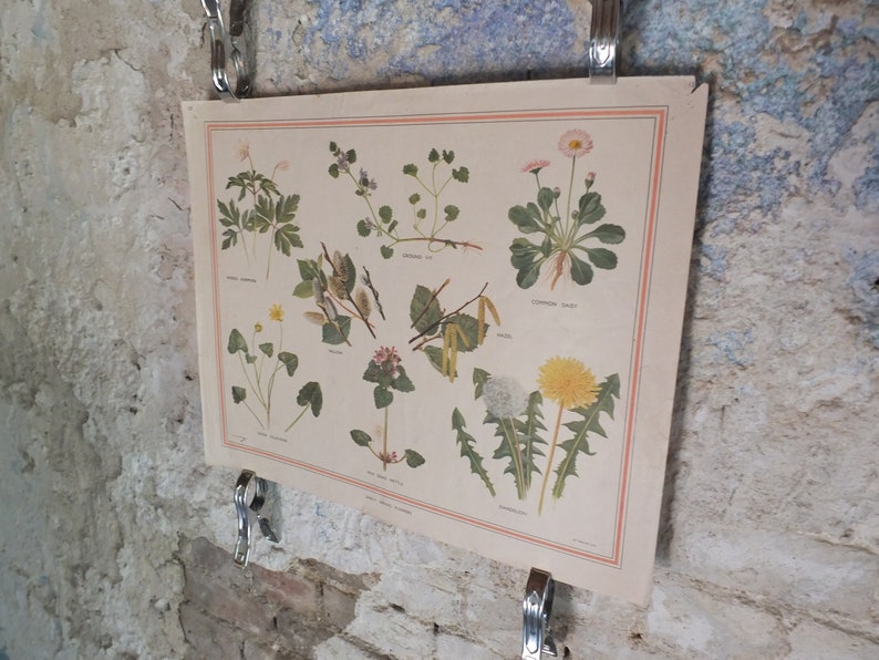 Original Vintage British Macmillan Educational Poster Early - Etsy