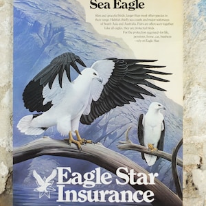 1980 White Bellied Sea Eagle Poster, Eagle Star Insurance, by Trevor ...