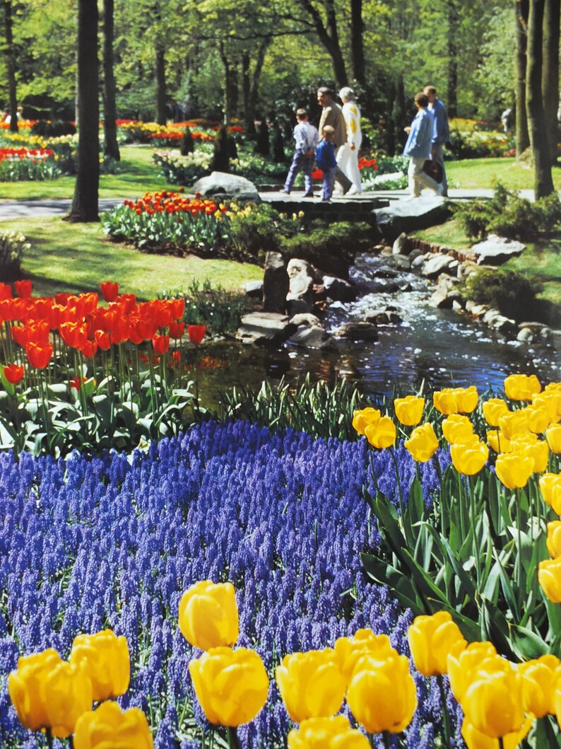 1987 Dutch Tulips Keukenhof Poster, Lisse Holland, the Netherlands ...