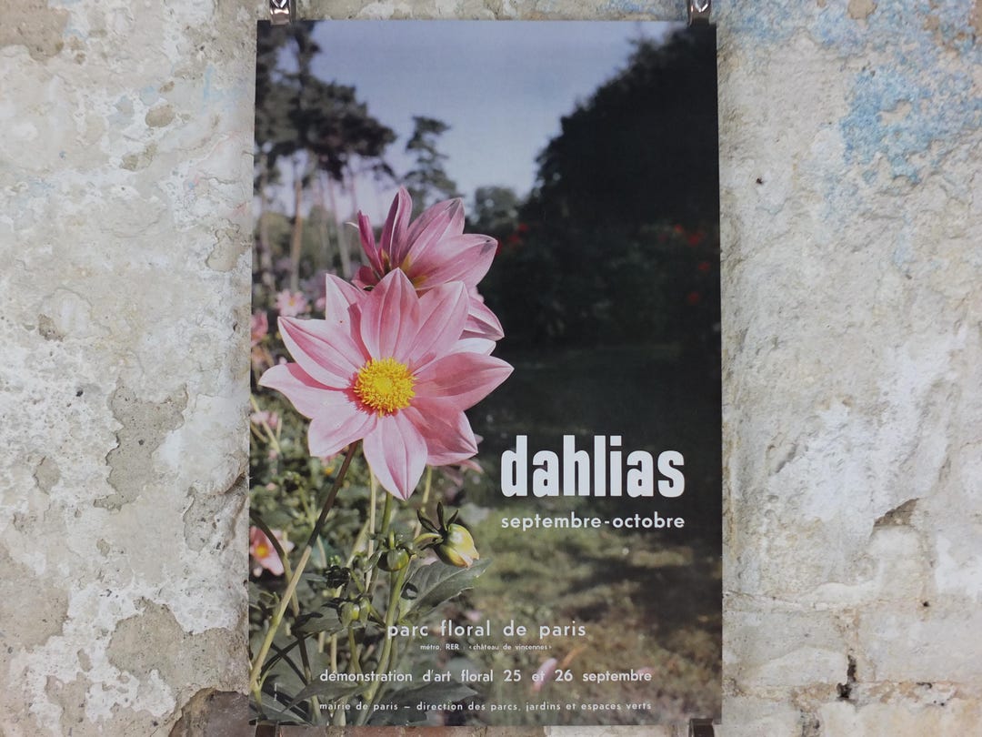 1980s Dahlias Poster, Mairie De Paris Flower Show, Parc Floral De Paris ...