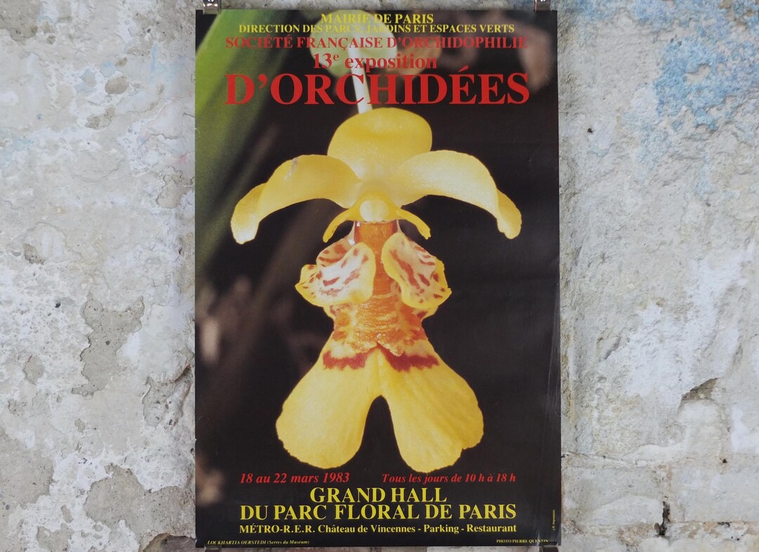 1983 Orchids Poster, Mairie De Paris Flower Show, Parc Floral De Paris ...