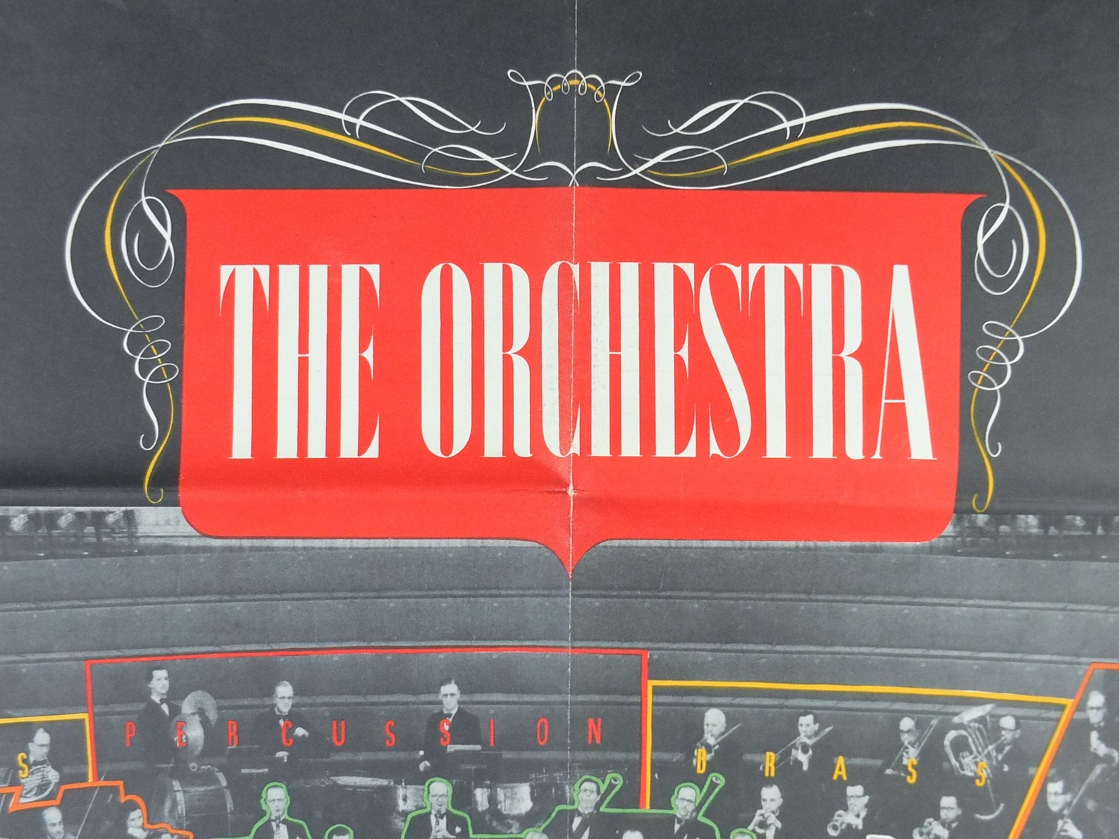Vintage Instruments of the Orchestra Poster Strings - Etsy