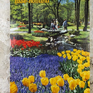 1987 Dutch Tulips Keukenhof Poster, Lisse Holland, the Netherlands, Tulip Gardens, Flower Fields ...