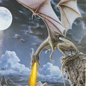 1992 Dragon Spit Poster, by Robin Koni, From Scandecor, 1824 Langen ...