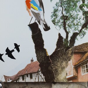 1970s Original National Trust Poster, Free Admission, Bird, by Michael ...