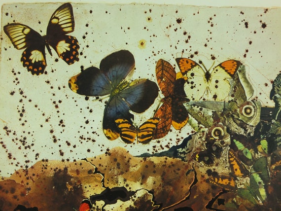 Salvador Dali Painting Butterfly