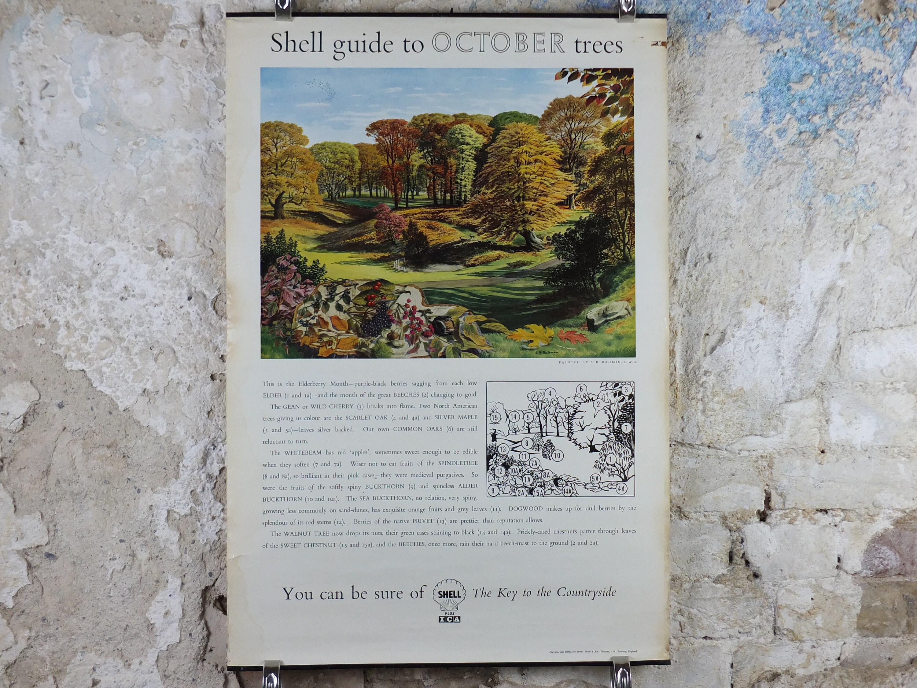 1960 SHELL GUIDE to SURREY magazine advert Collectibles Advertisements ...