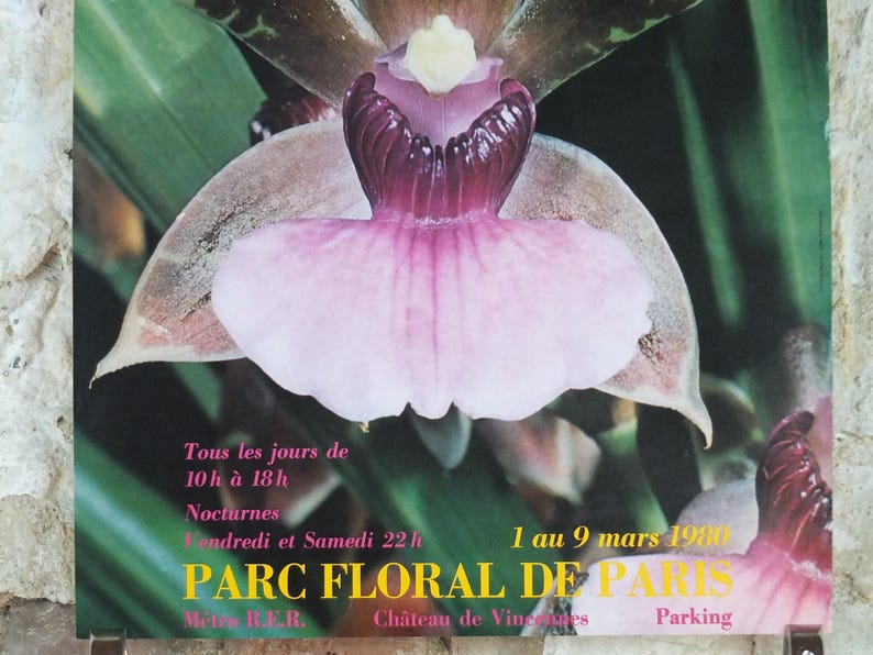 1980 Orchids Poster, Mairie De Paris Flower Show, Parc Floral De Paris ...