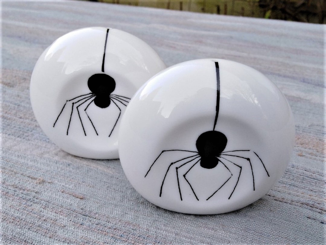 Salt and Pepper Cruet Set With a Spider - Etsy
