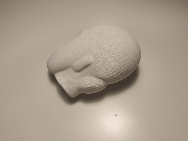 3D Printed Constantin Brancusi the Sleeping Muse Replica - Etsy
