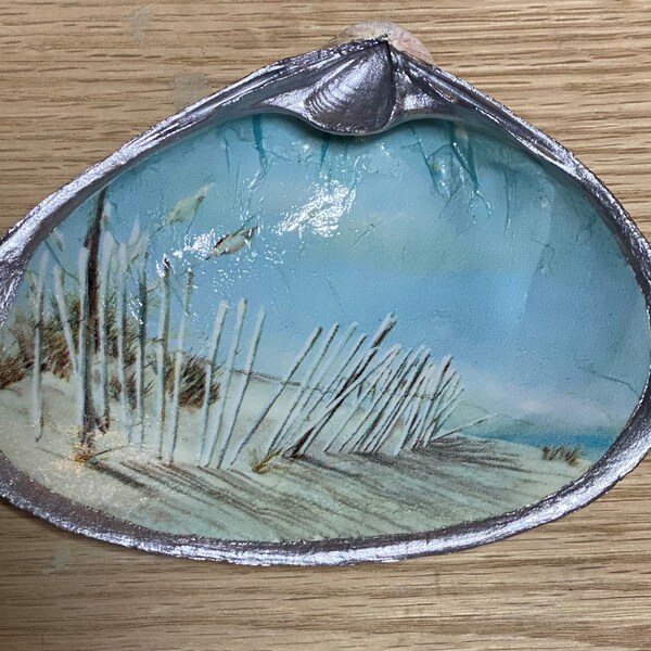 Clam Shell Jewelry - Etsy