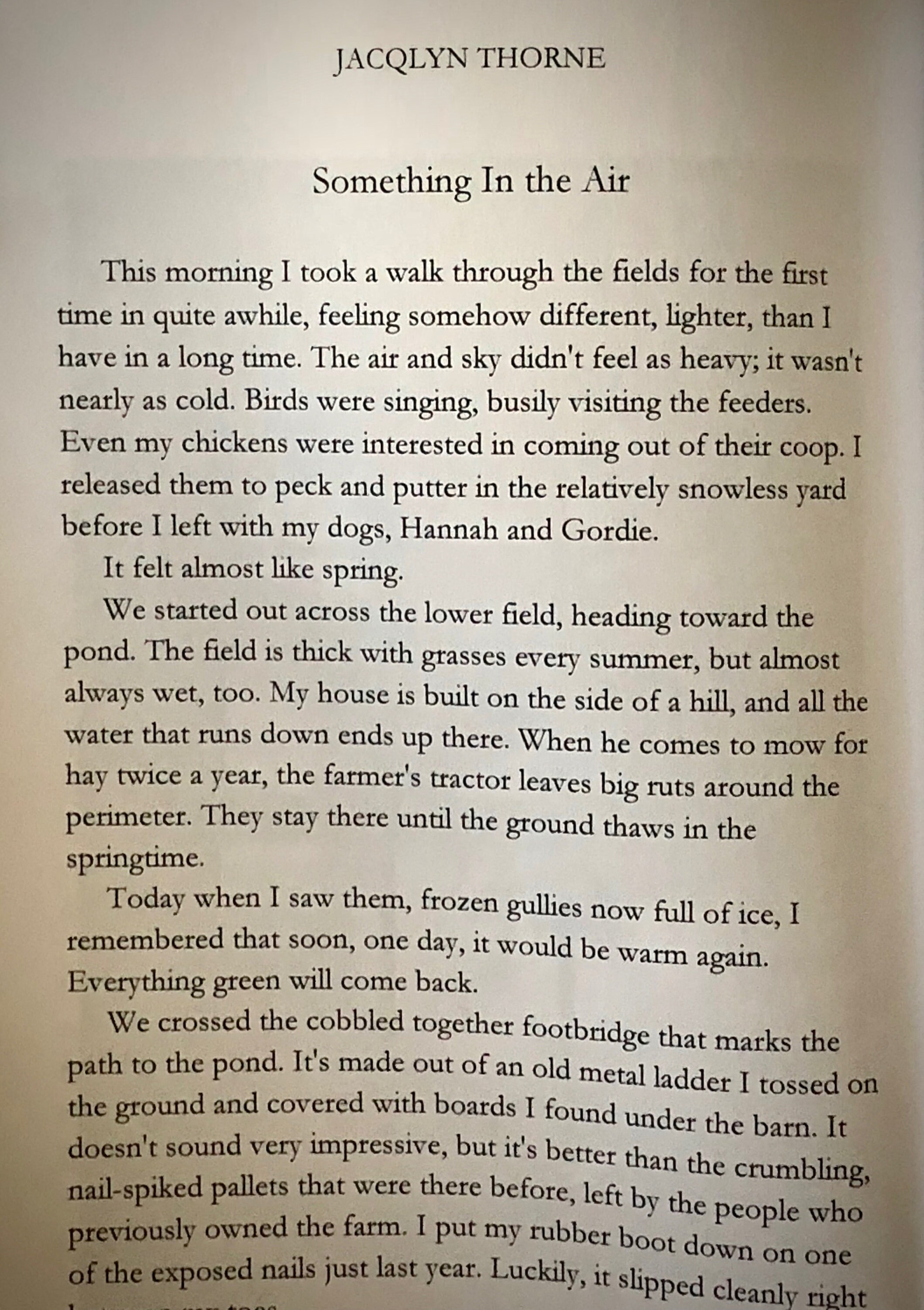 Gone to Ground: Selected Poems & Essays by Jacqlyn Thorne / - Etsy UK