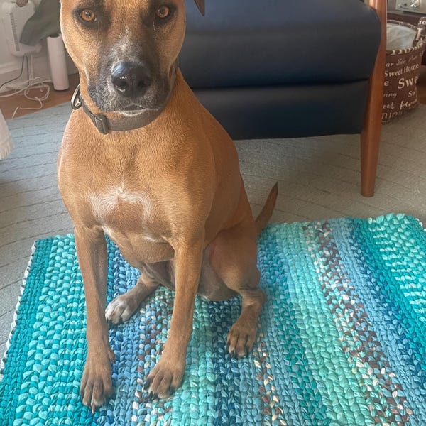 Twined Rag Rugs - Etsy