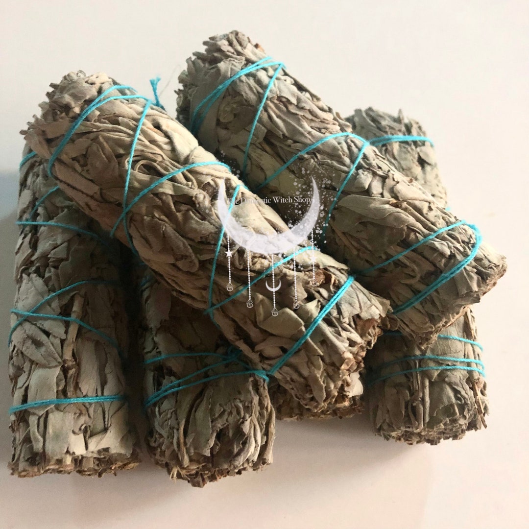 3"-4" Sage Bundle - Etsy