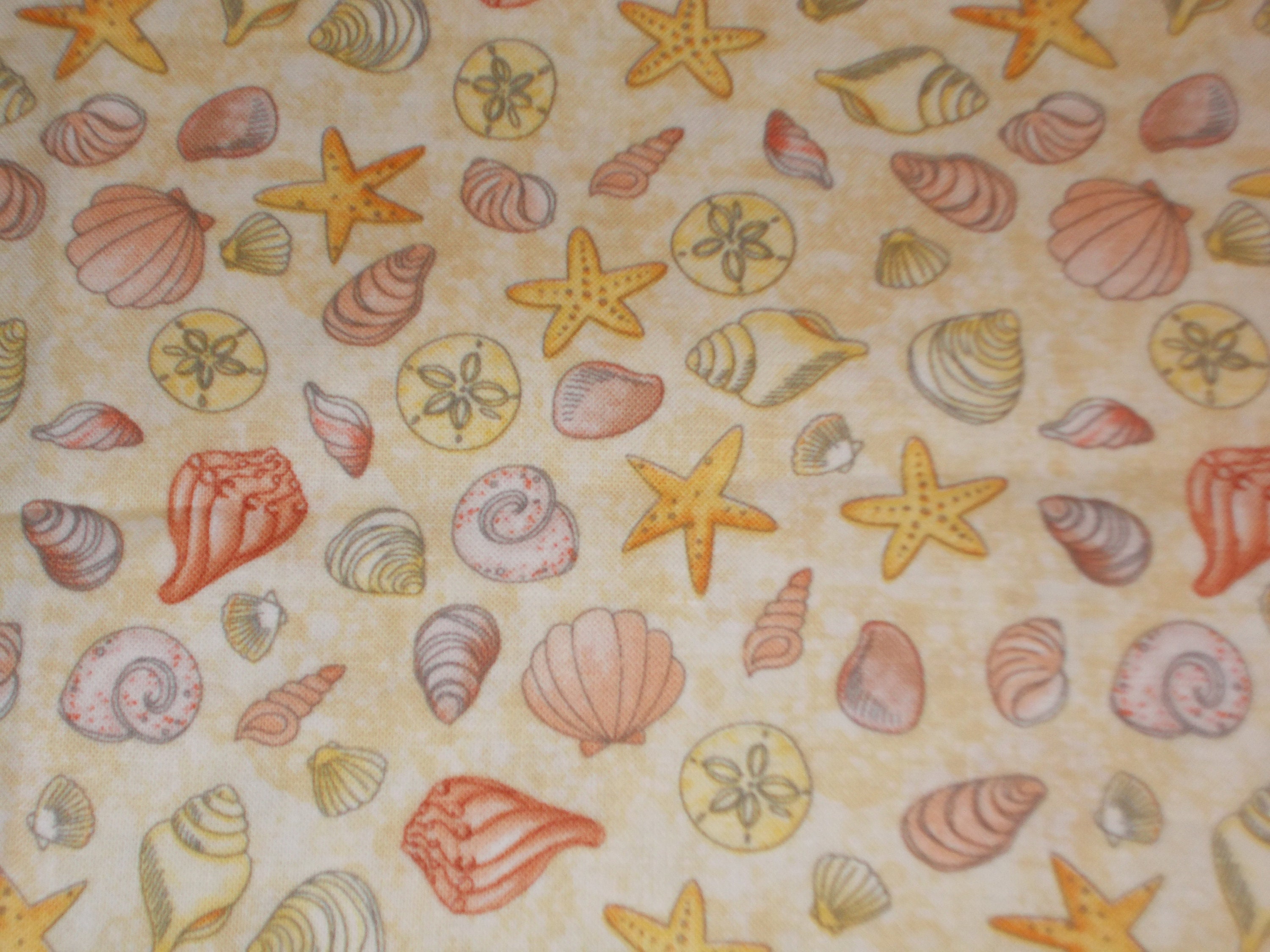 Sea shell beach starfish home kitchen table decor bath | Etsy