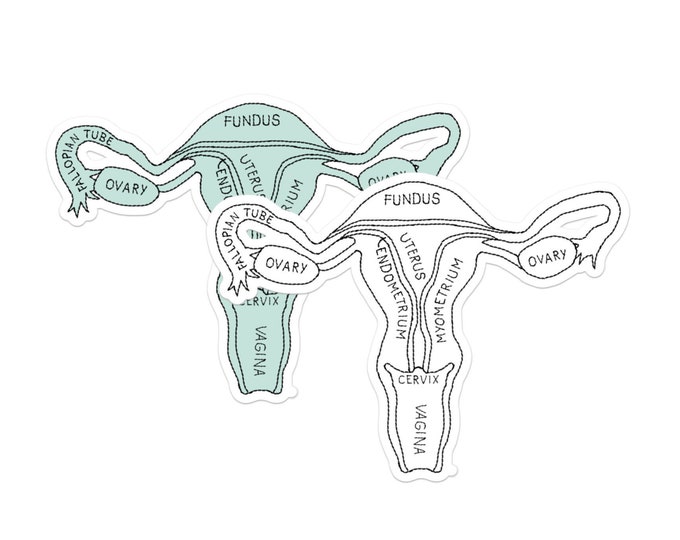 Rainbow HSD Sticker Hypermobility Spectrum Disorder - Etsy