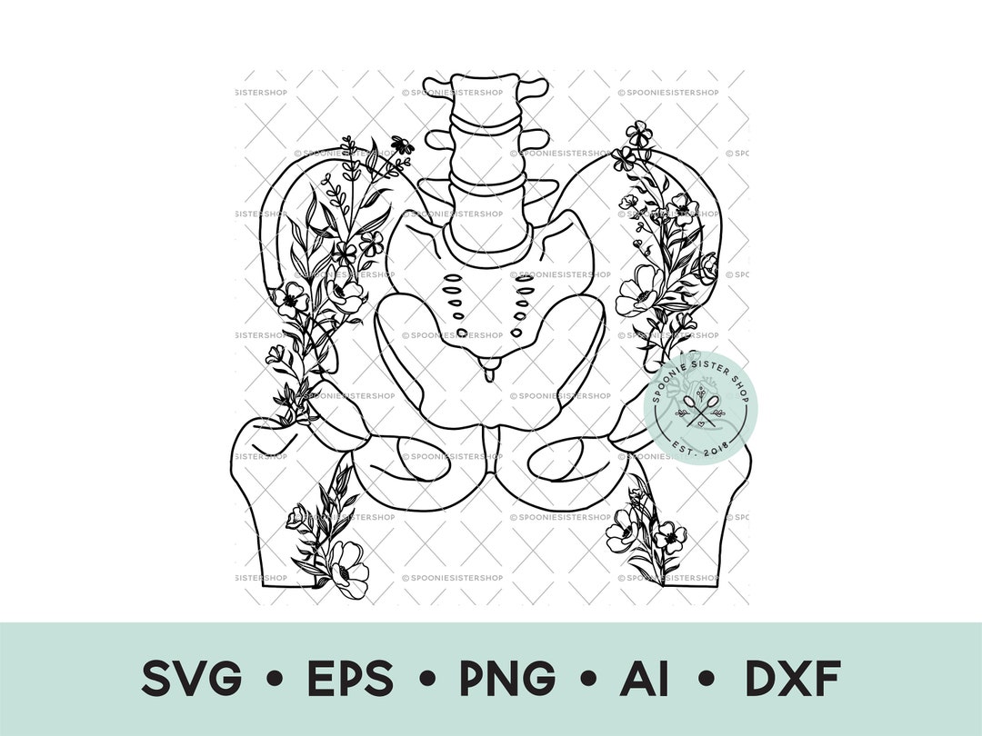 Floral Pelvis Anatomy SVG, Pelvic Anatomy Clip Art, Anatomical Pelvis ...