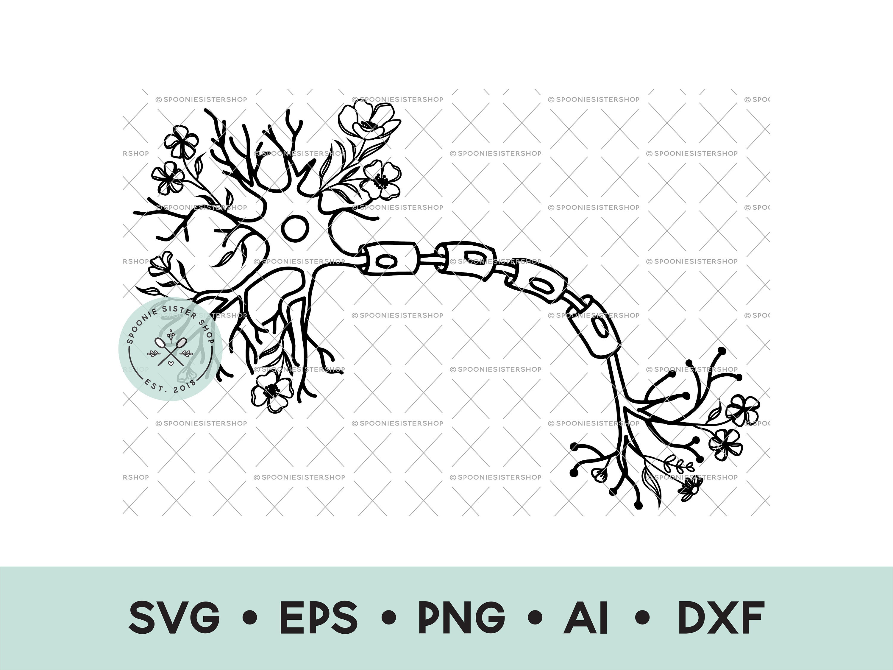 Blank Neuron Cell Diagram