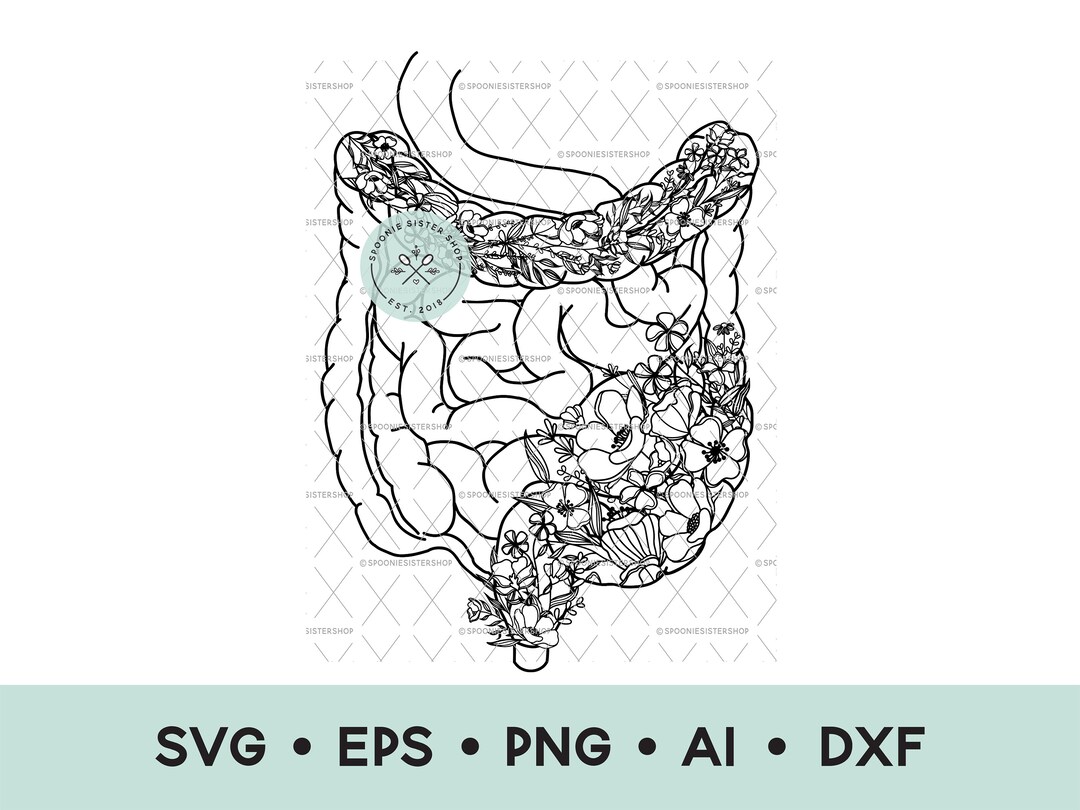 Floral Intestines Anatomy SVG, Intestines Anatomy Clip Art, Anatomical ...