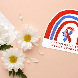 Rainbow HLHS Sticker, Hypoplastic Left Heart Syndrome Stickers, HLHS ...