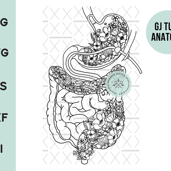 Digestive tract svg - Etsy Nederland