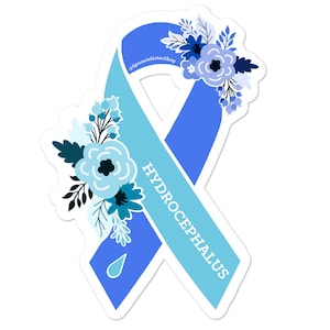 Hydrocephalus Sticker, Hydrocephalus Awareness Stickers, CFS Leak ...