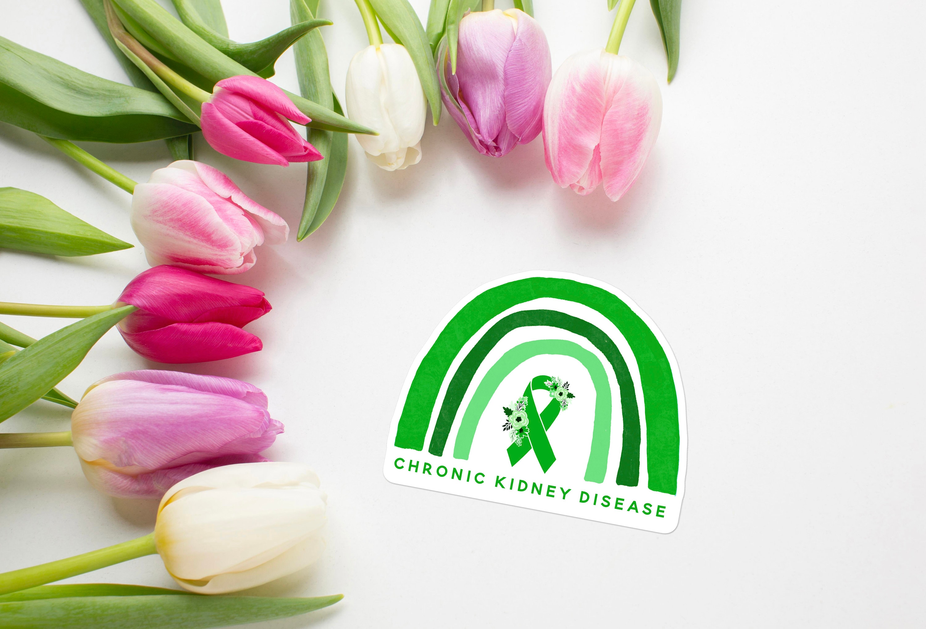 Chronic Kidney Disease Sticker Rainbow CKD Sticker CKD - Etsy