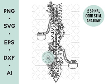 Chiropractor SVG and Cut Files for Crafters - Etsy