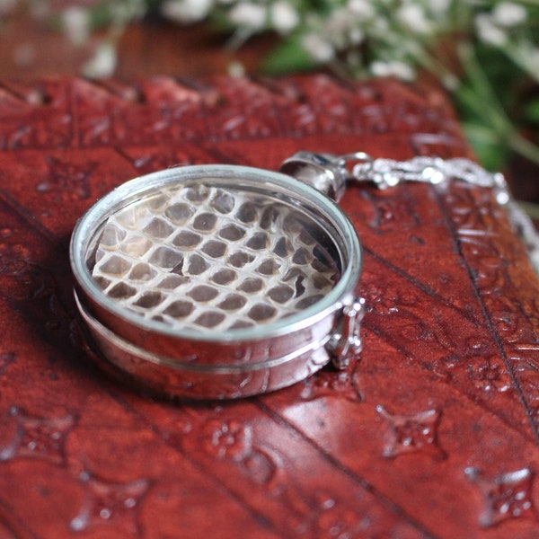Snake Locket - Etsy