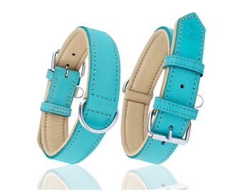 Aqua Dog Collar | Etsy