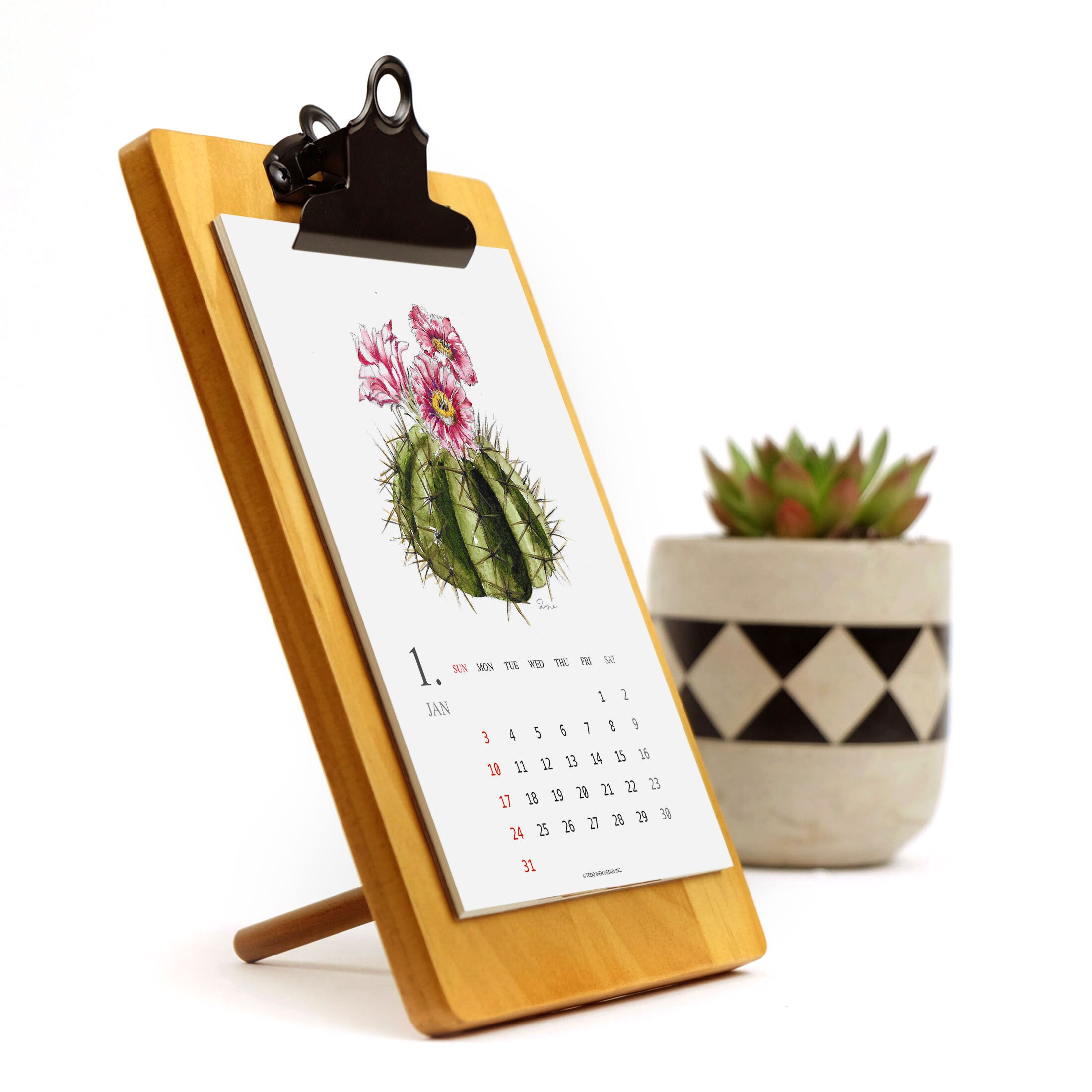 2021 Monthly Plants Cactus Succulent Watercolor Art Desk Calendar 5x7 ...