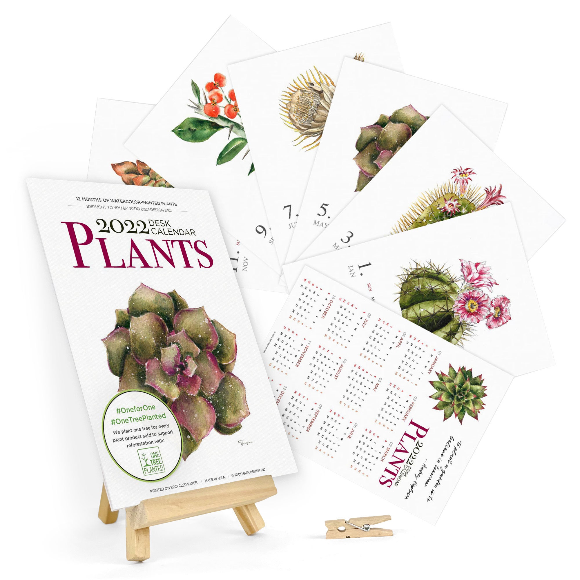 2021 Monthly Plants Cactus Succulent Watercolor Art Desk Calendar 5x7 ...
