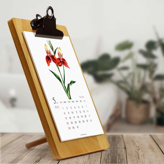 2021 Monthly Plants Cactus Succulent Watercolor Art Desk Calendar 5x7 ...