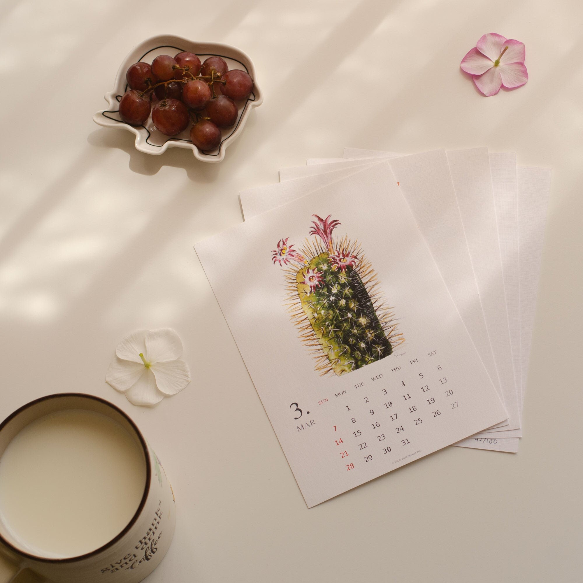 2021 Monthly Plants Cactus Succulent Watercolor Art Desk Calendar 5x7 ...
