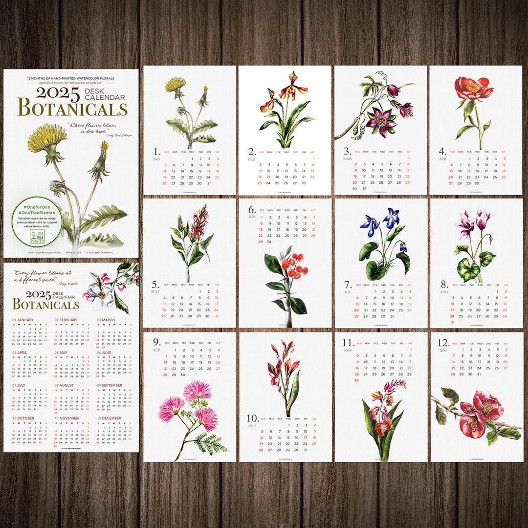 2025 Monthly Botanical Desk Calendar 5x7 Watercolor Flowers Florals ...