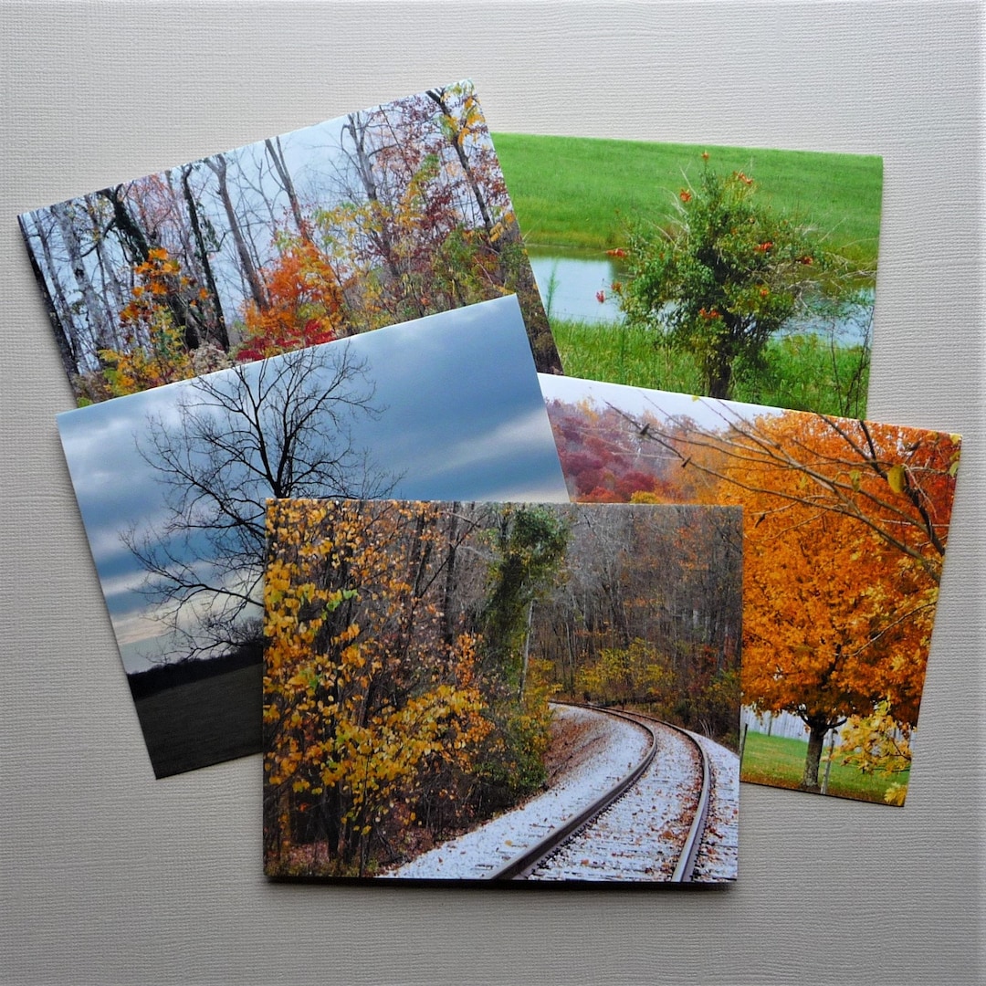 5 All-occasion Note Cards, Assorted Nature Photos, Blank Inside, Hand ...