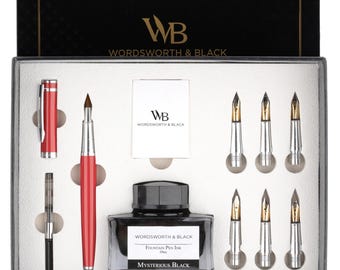 Calligraphy Pen Gift Set, Includes Ink Bottle, 6 Ink Cartridges, Ink ...