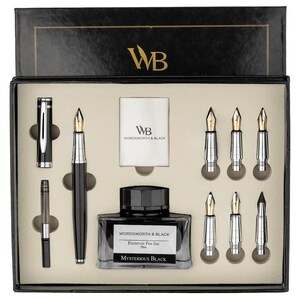 Calligraphy Pen Gift Set, Includes Ink Bottle, 6 Ink Cartridges, Ink ...