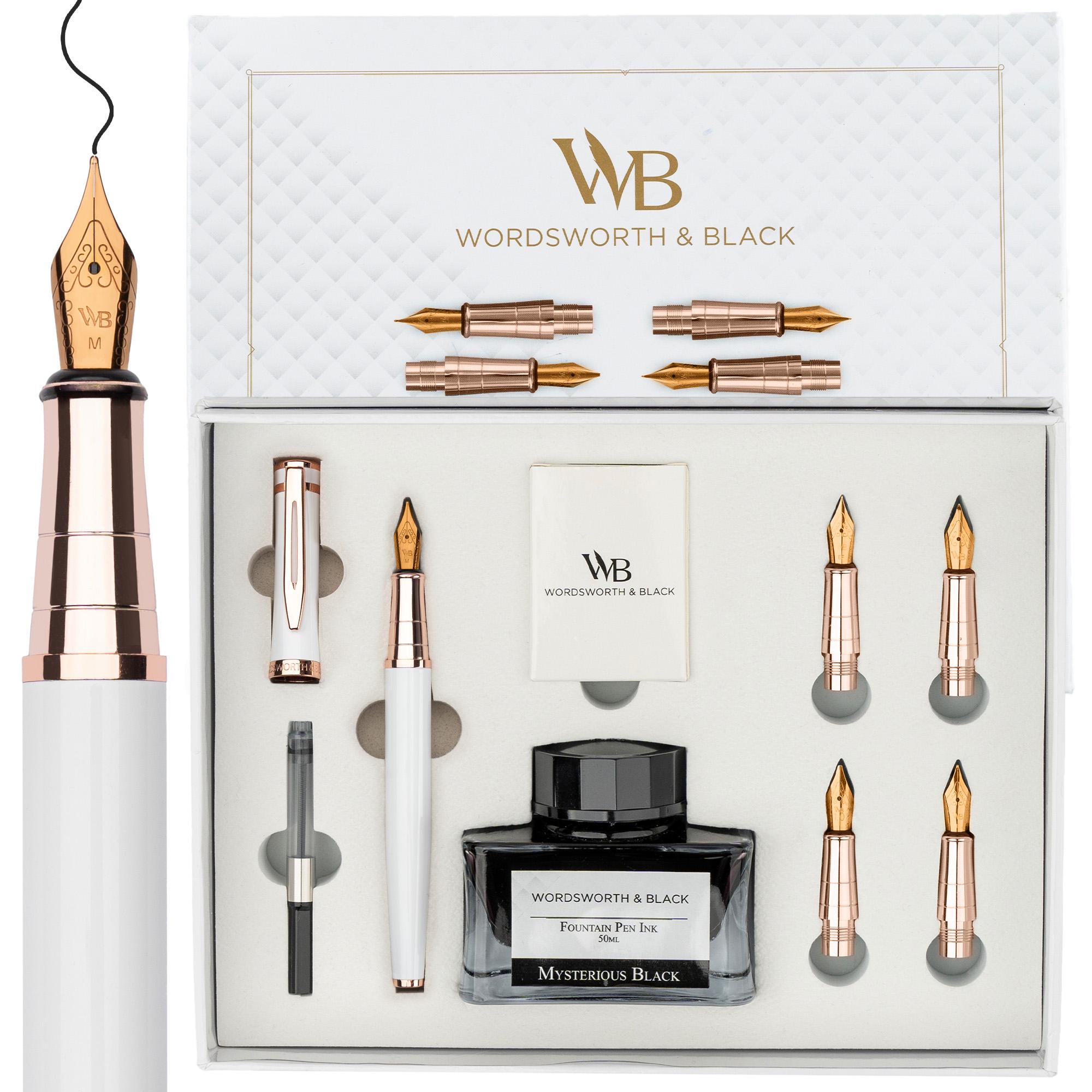 Fountain Pen Gift Set, Includes Ink Bottle, 6 Ink Cartridges, Ink ...