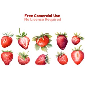 Strawberry Fruit Clipart Strawberries Variety Clipart Set - Etsy