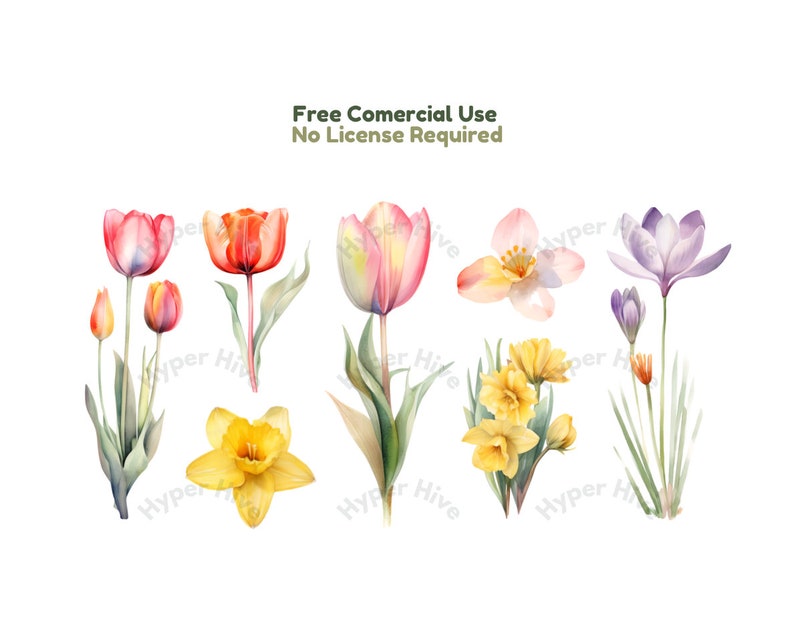 Watercolor Flower Clipart BUNDLE 80 PNG Images Clipart Set - Etsy