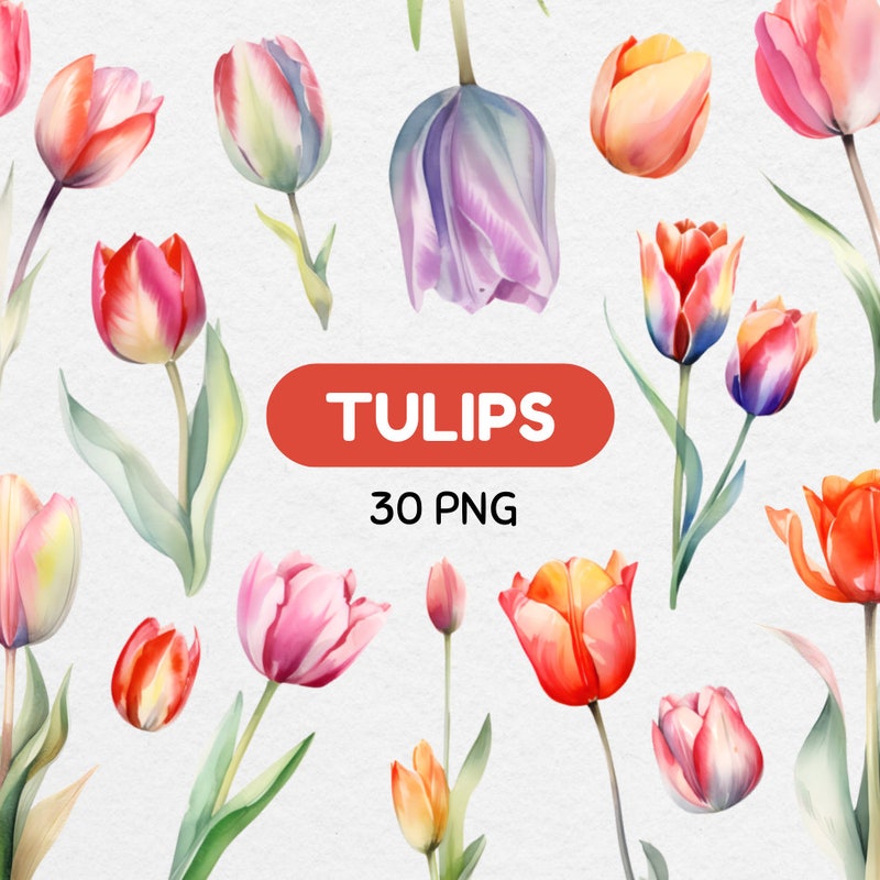 Tulip Watercolor - Etsy