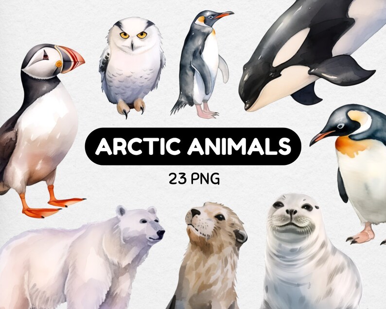 Arctic Animals Watercolor Clipart Antarctic Animals Illustration ...