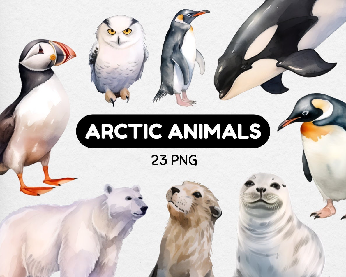 Arctic Animals Watercolor Clipart Antarctic Animals Illustration ...