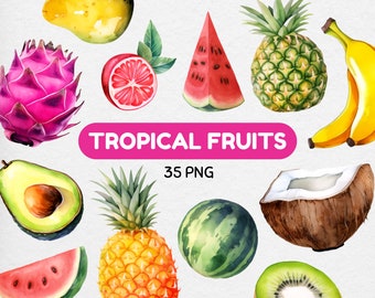 Watercolor Tropical Fruits PNG Transparent Background Summer - Etsy