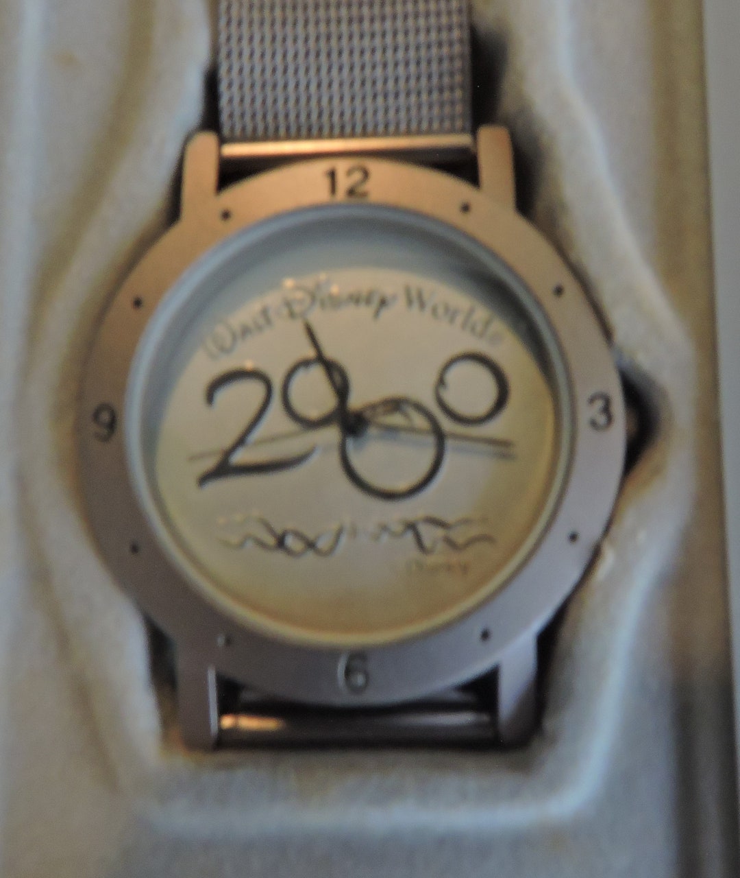 Walt Disney World 2000 Millenium Sweda Watch With Quartz Japan Movement ...
