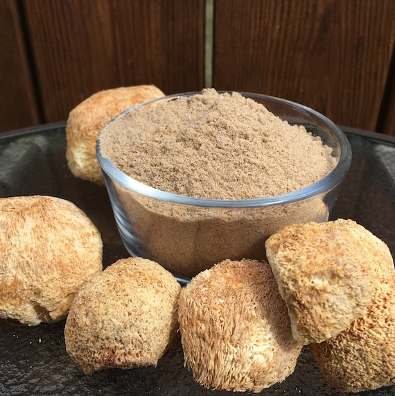 Lions Mane Mushroom Extract Powder Full Spectrum Organic Etsy