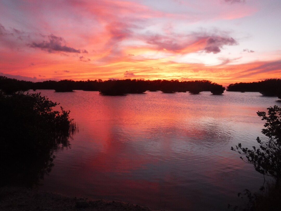 Florida Keys Mangrove Ocean Sunset Pink Sky-digital Download Art Prints ...